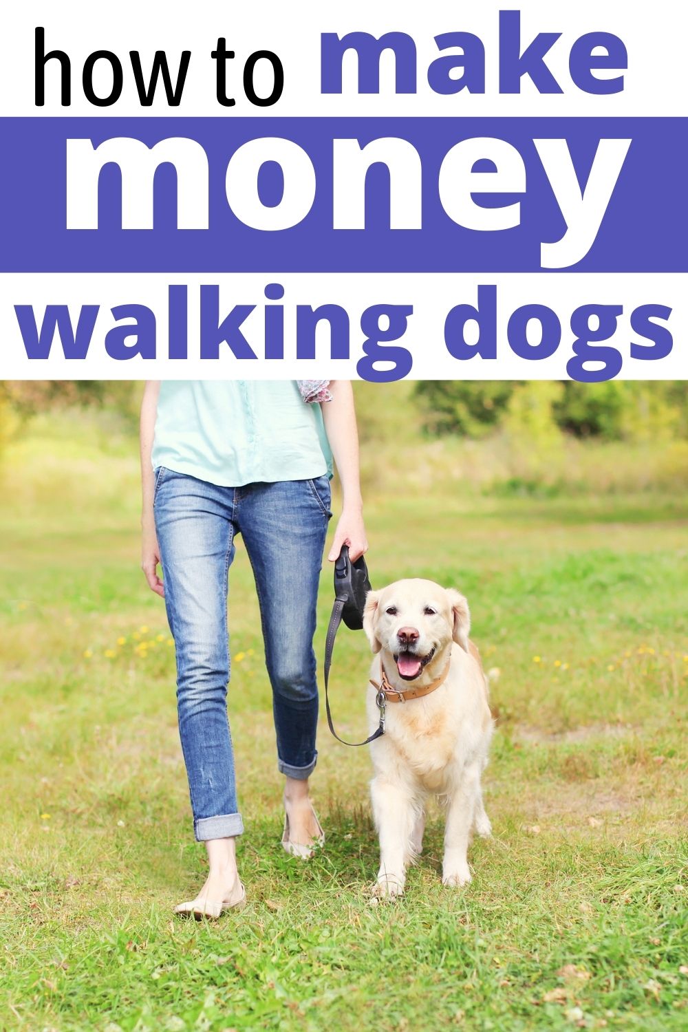 Get Paid To Walk Dogs In 2025 (Ultimate Guide)