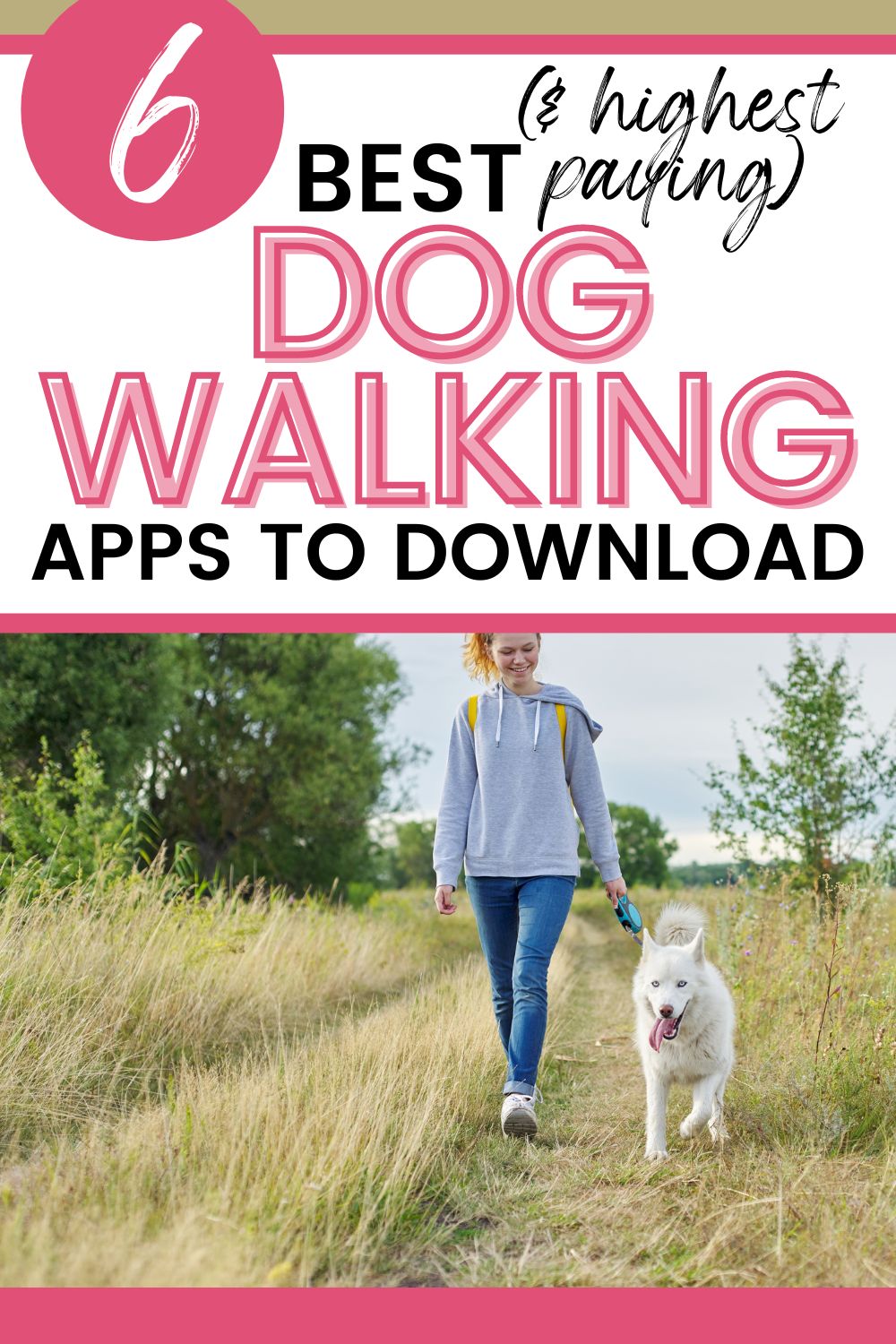 Get Paid To Walk Dogs In 2026 (Ultimate Guide)
