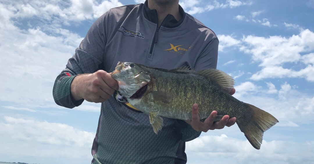 Get Paid To Fish in 2025 {16 Genius Ways To Make Money Fishing}