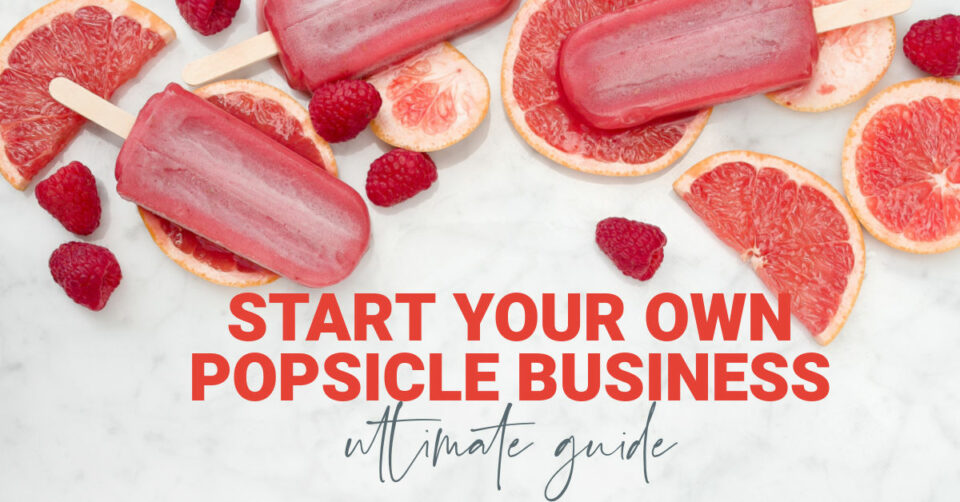How To Start A Popsicle Business {Ultimate Step by Step Guide}