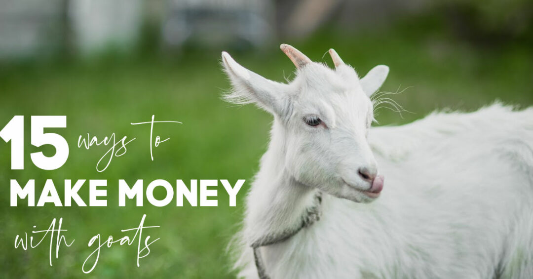 How To Make Money With Goats {15 Ways To Profit From Goats}