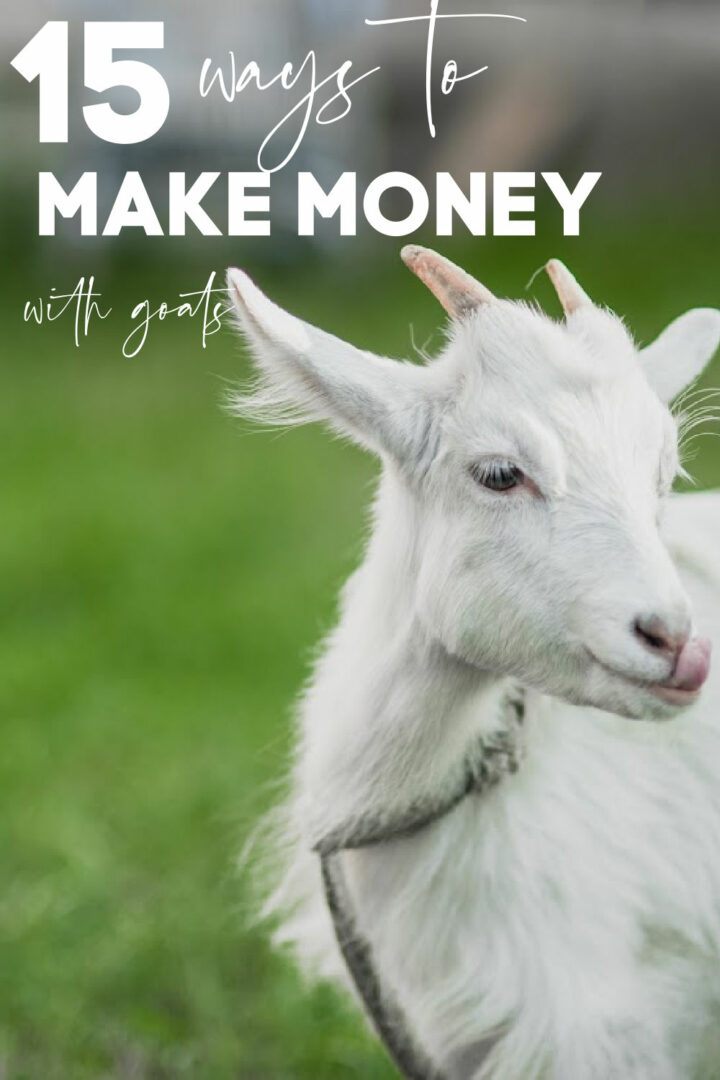 How To Make Money With Goats {15 Ways To Profit From Goats}
