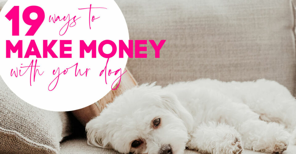 How To Make Money With Your Dog (19 Genius Dog Side Hustles)