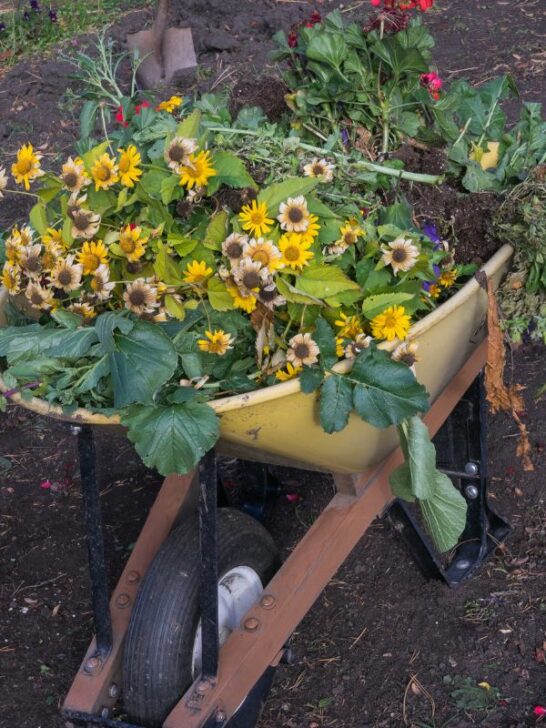 21 Best Fall Side Hustles (Make Money In The Fall)