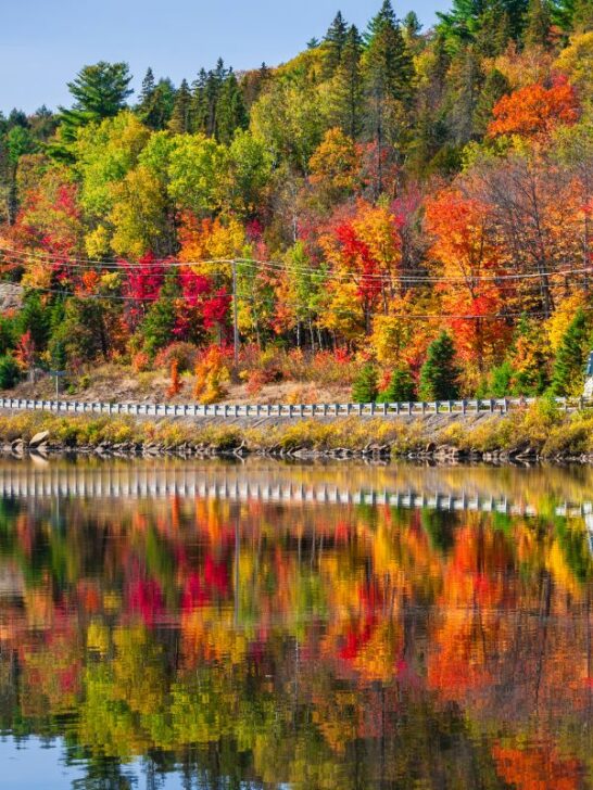 21 Best Fall Side Hustles (Make Money In The Fall)