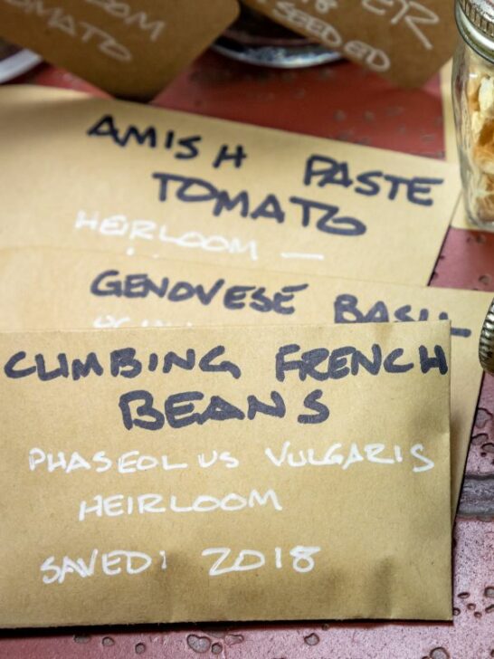 31 Easy DIY Market Day Ideas For Kids To Sell