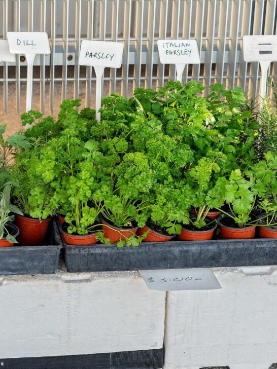 31 Easy DIY Market Day Ideas For Kids To Sell