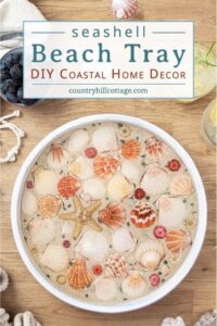 15 Things To Make With Seashells (that sell great too!)
